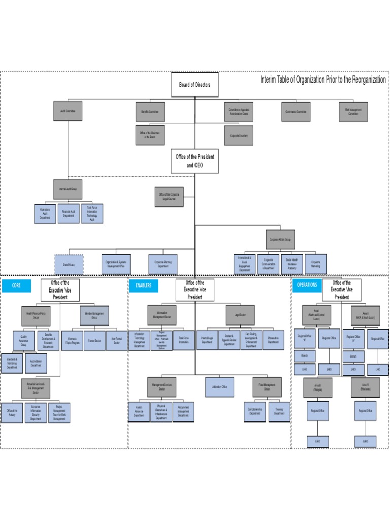 Interim Table of Organization Prior To The Reorganization | PDF | Audit ...