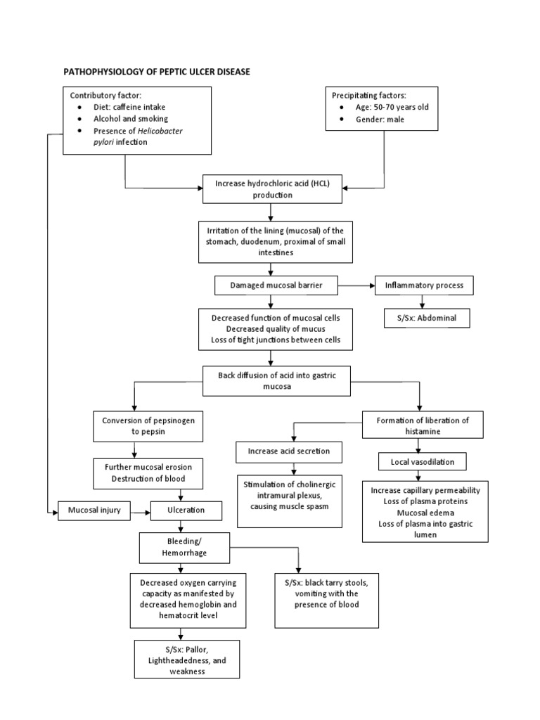 Pathophysiology PUD | PDF | Stomach | Gastroenterology