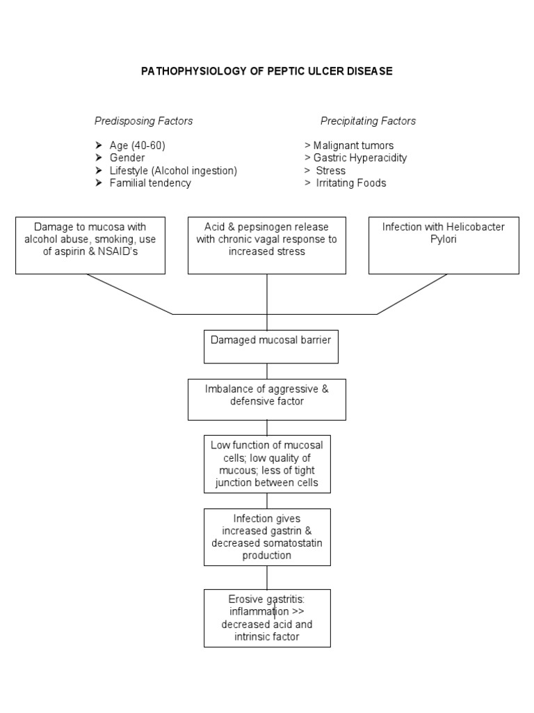 Pathophysiology PUD 2 | PDF