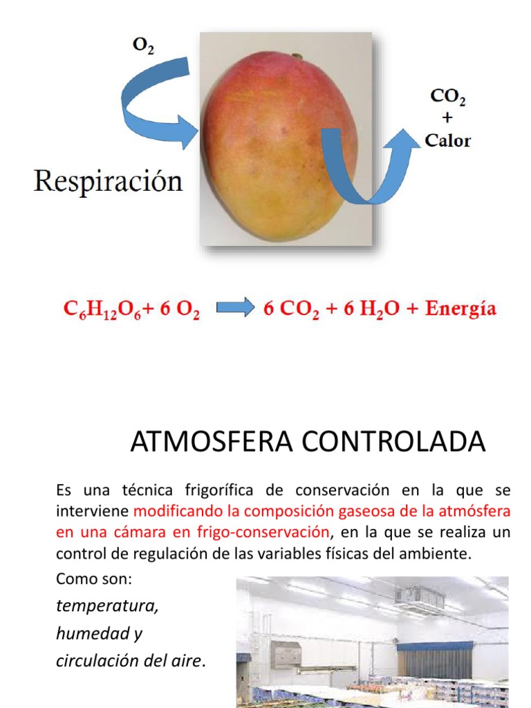 Atmósfera controlada conserva frutas | PDF | Dióxido de carbono | Oxígeno