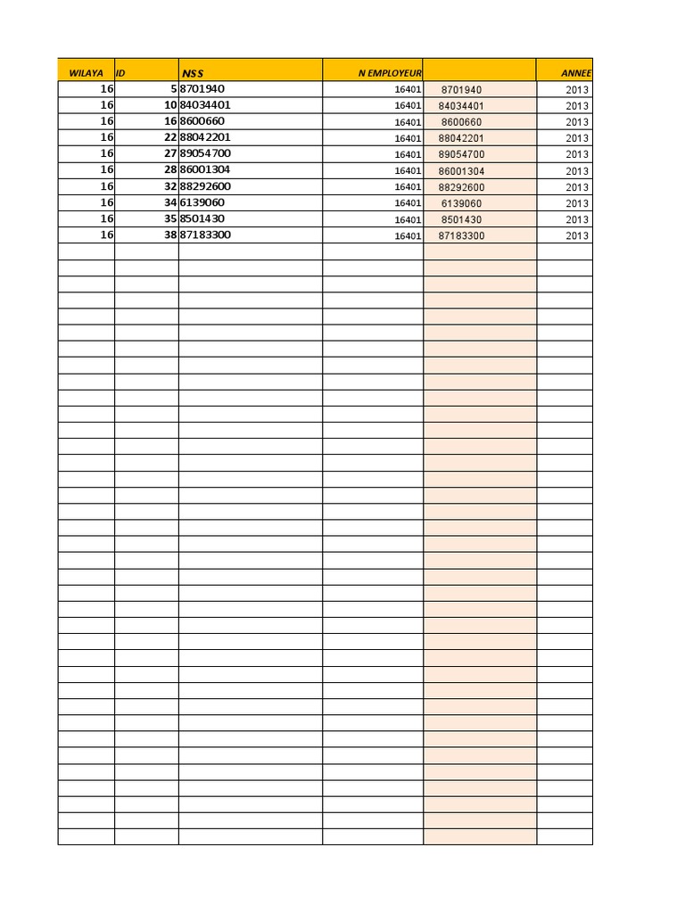 TRAITEMENT DAS CNAS Excel | PDF