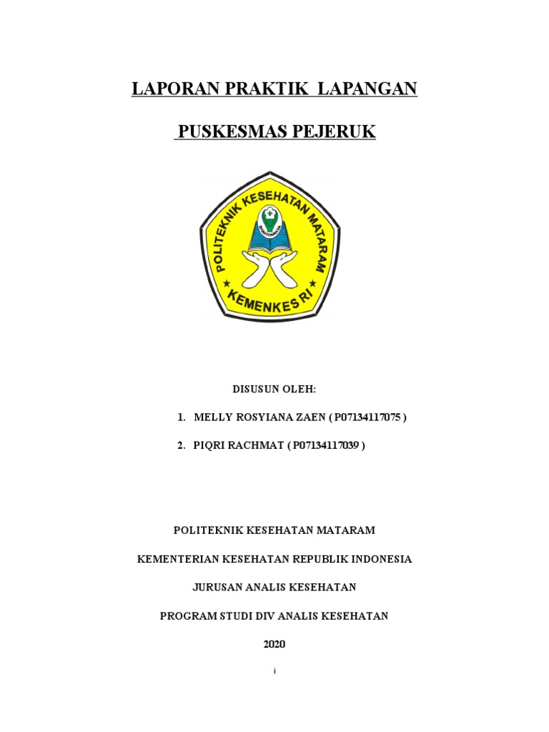 Laporan Praktik Lapangan Puskesmas Pejer | PDF | Kesehatan Holistik