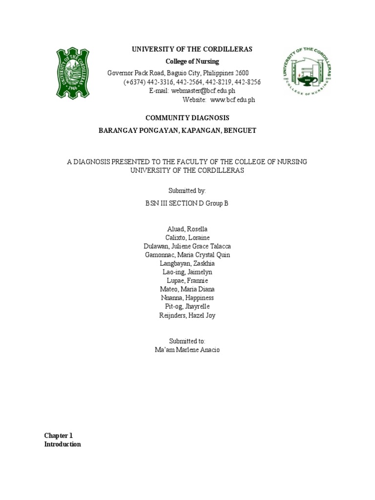 University of The Cordilleras College of Nursing | PDF | Family | Community