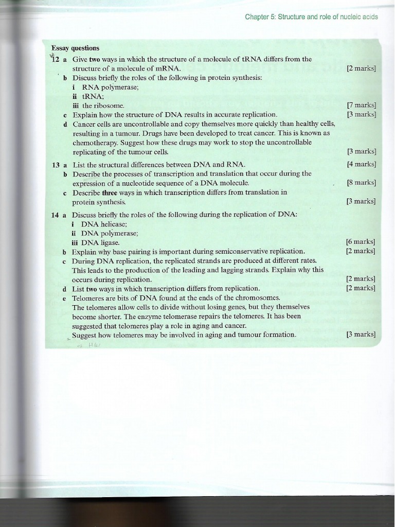 Nucleic Acids Worksheet | PDF