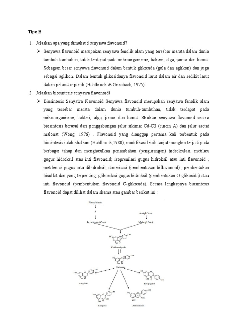 Biosintesis dan Identifikasi Flavonoid | PDF | Sains & Matematika