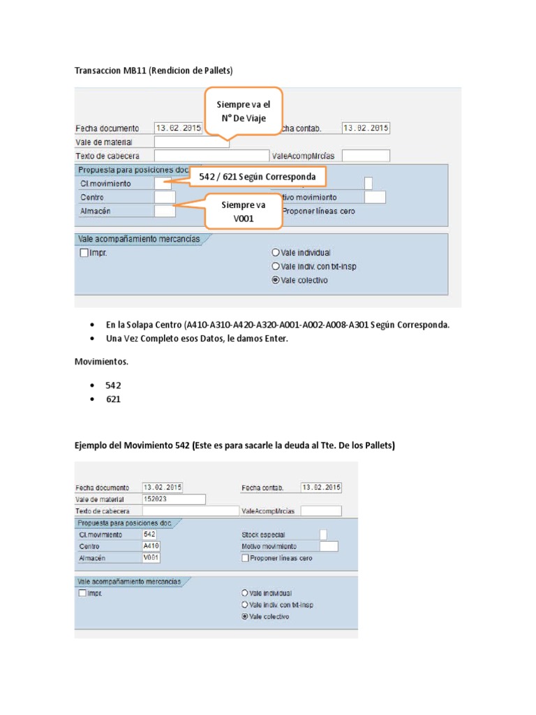 Uso de MB11 para Rendición de Pallets | PDF | Informática y tecnología ...