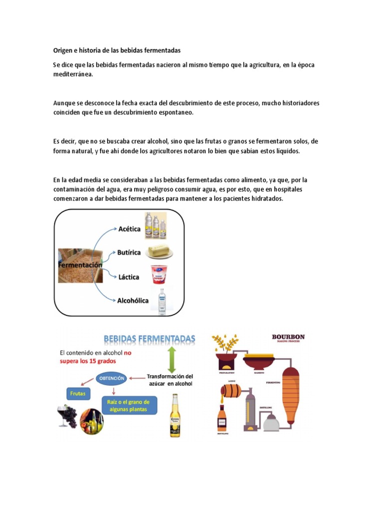 Bebidas Fermentadas | PDF | Cerveza | Vino