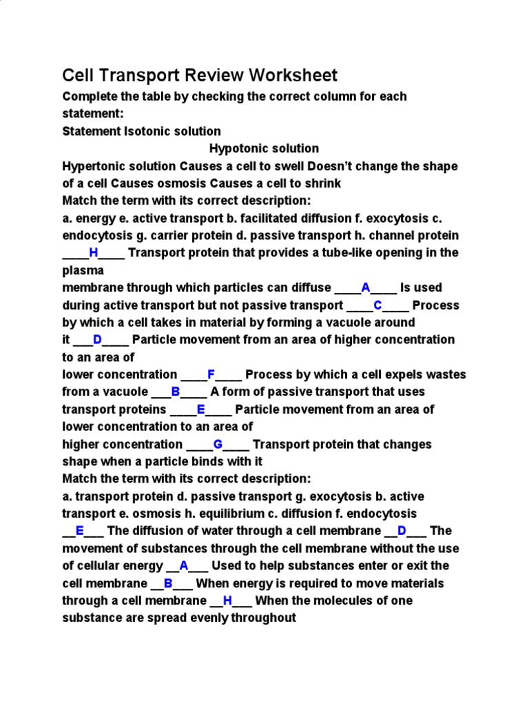 Cell Transport Review Worksheet: H A C D F B E G | PDF