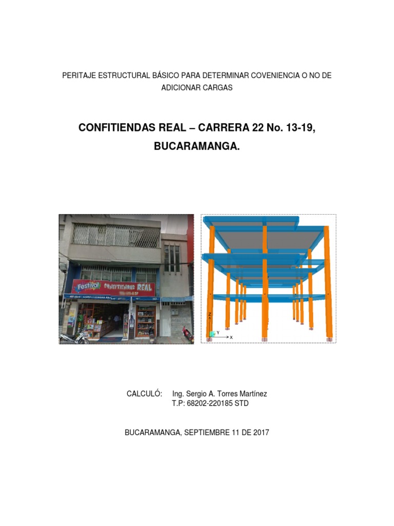 Peritaje Estructural Básico | PDF | Construyendo tecnología | Hormigón