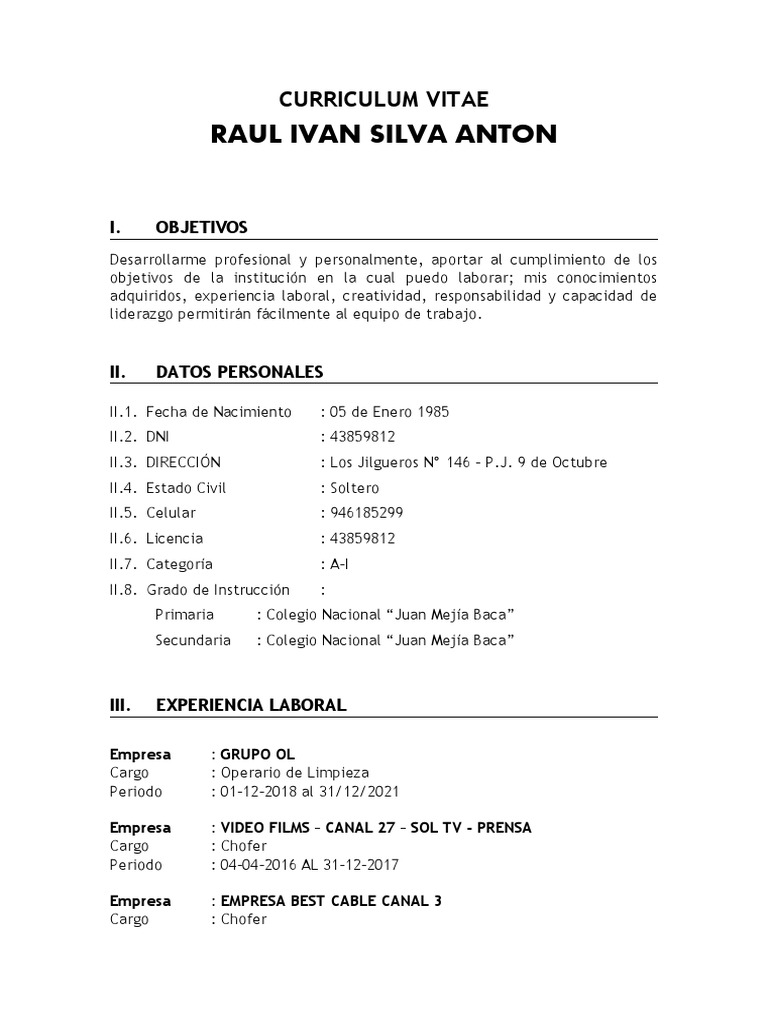 CV - Raul Silva Anton | PDF | Crecimiento personal y profesional