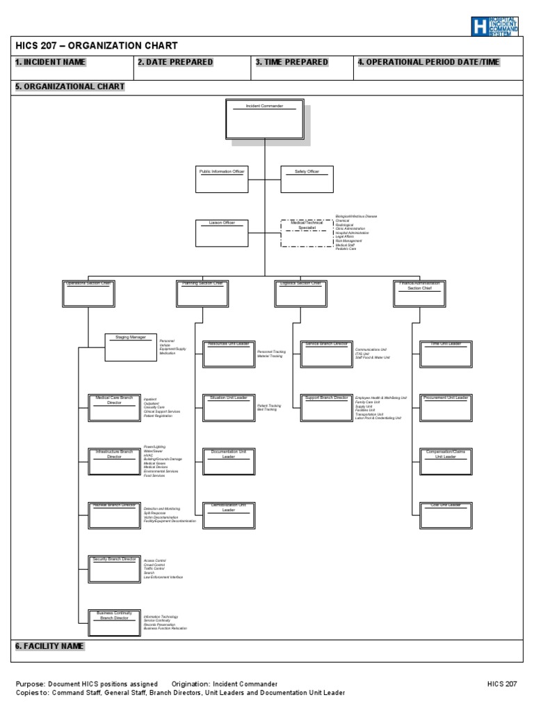 Hics 207 - Organization Chart | PDF | Patient | Emergency Department