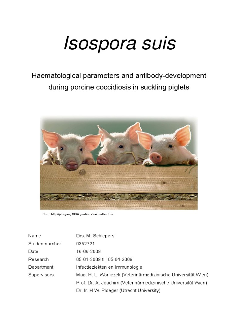 Isospora Suis | PDF | Medical Specialties | Biology