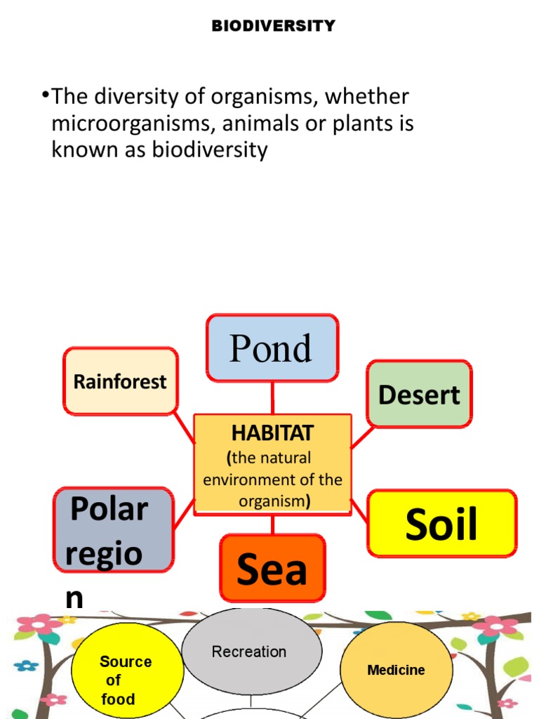 BIODIVERSITY Chapter 1 Notes To Print | PDF | Vertebrates | Amphibian