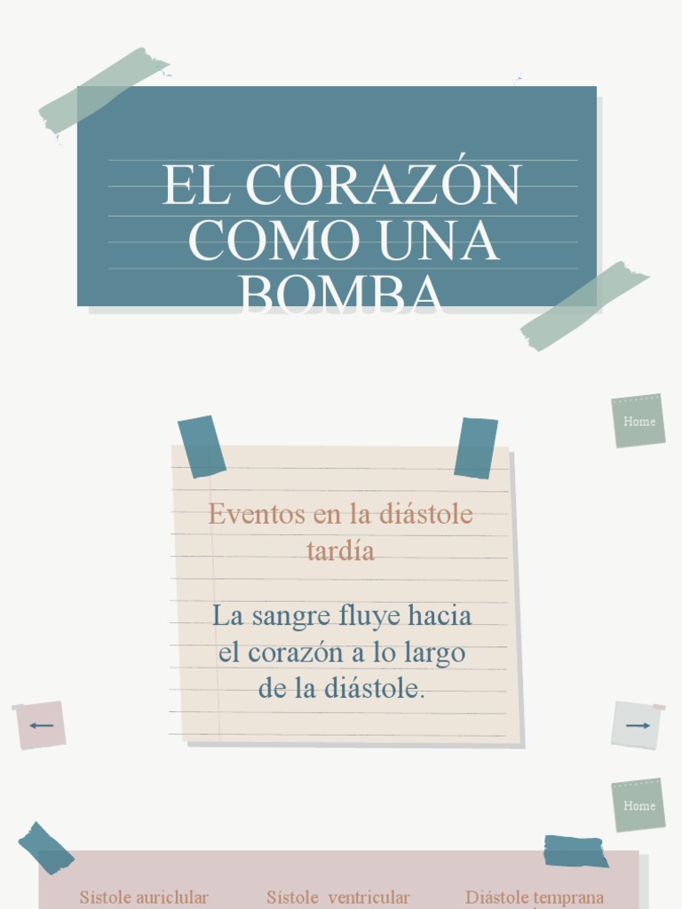 El Corazón Como Bomba | PDF | Ventrículo (corazón) | Corazón