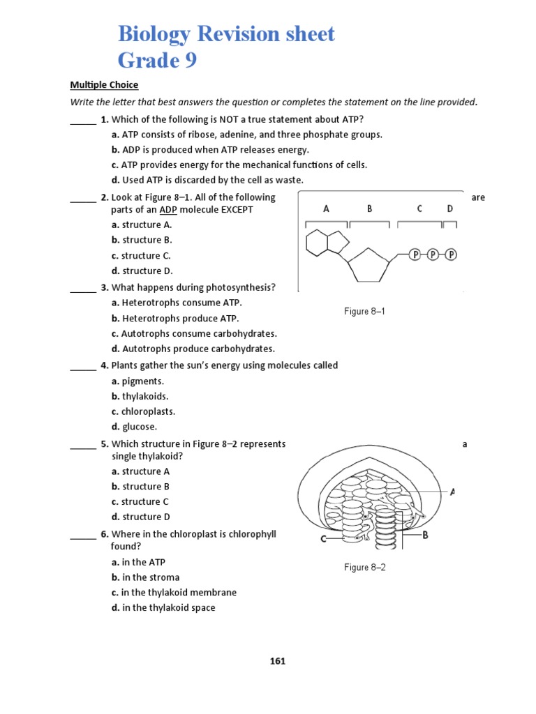 Biology Revision Sheet Grade 9 | PDF | Cellular Respiration ...