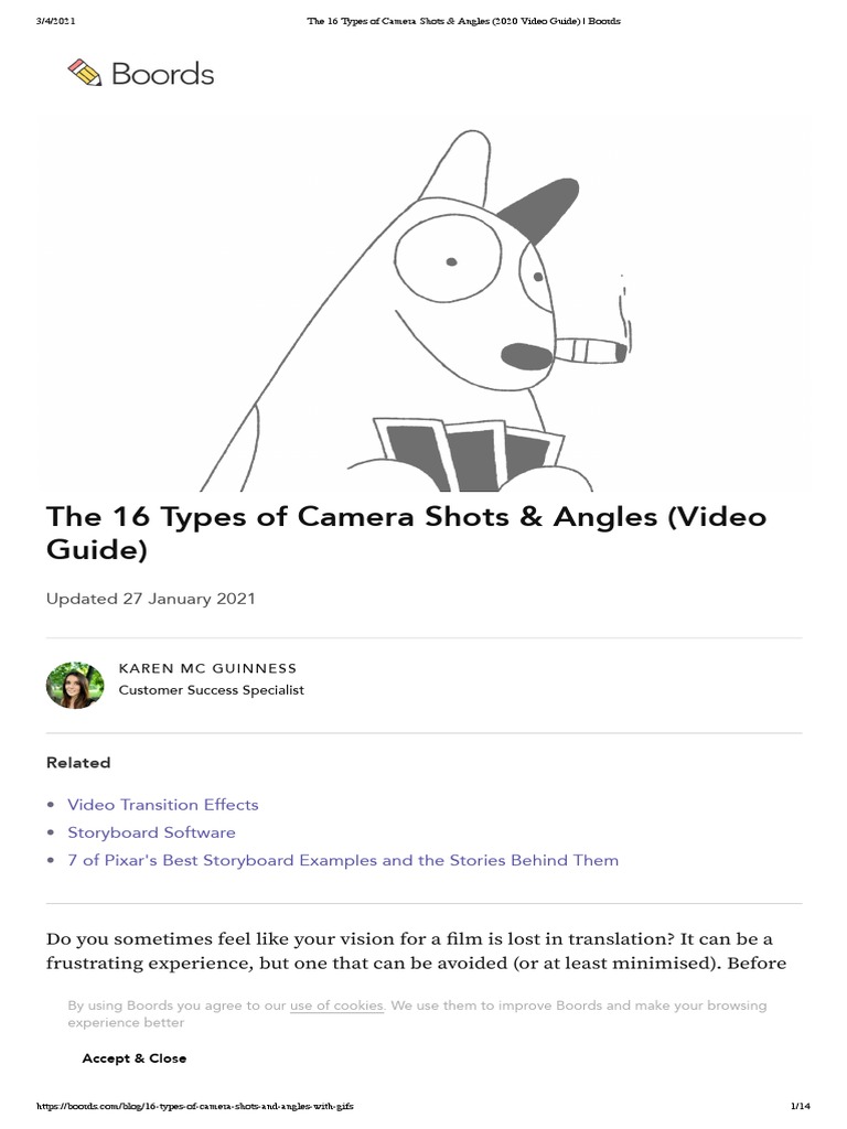 The 16 Types of Camera Shots & Angles (2020 Video Guide) - Boords | PDF