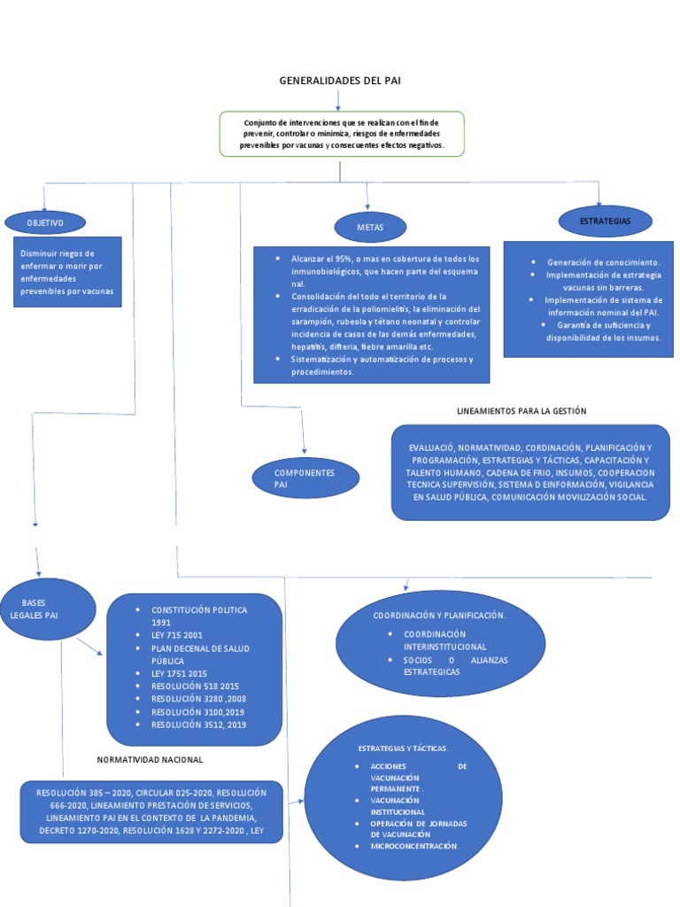 Mapa Conceptual Generalidades Pai | PDF | Vacunas | Pediatría