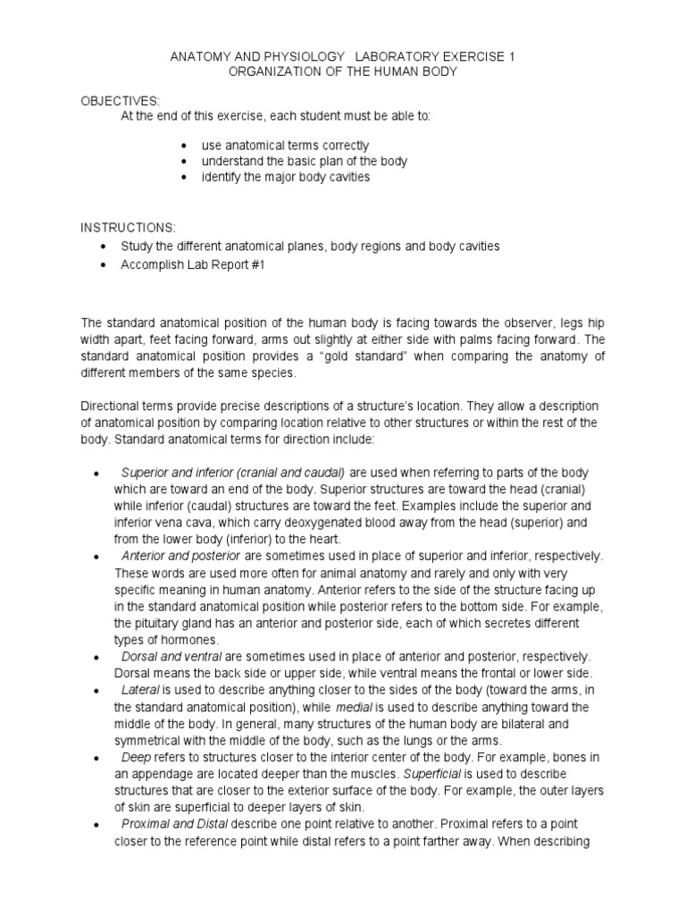 LABORATORY EXERCISE 1 Organization of The Human Body | PDF | Anatomical ...