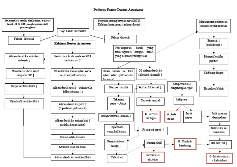 Pathway Patent Ductus Arteriosus | PDF
