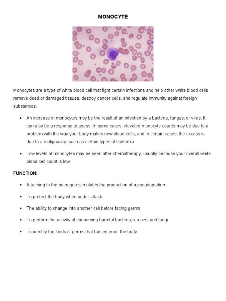 Monocyte: Function | PDF | White Blood Cell | Immune System