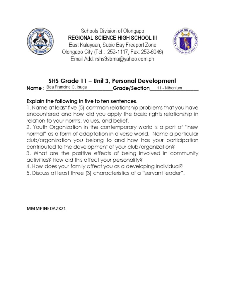 Grade 11 Personal Development Tasks | PDF