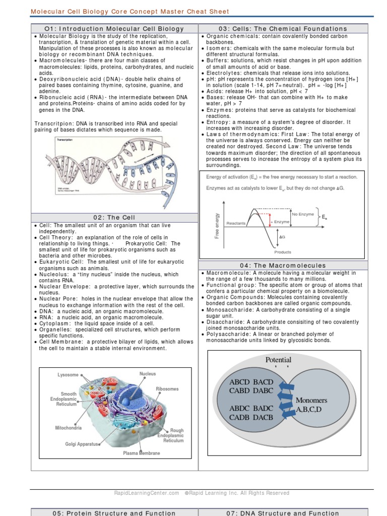 Molecular Cell Biology Master | PDF | Dna | Gene