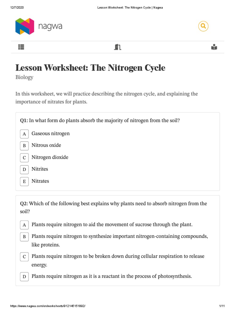 The Nitrogen Cycle - Worksheet | PDF | Nitrogen | Nitrate
