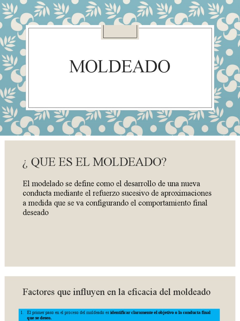 Moldeamiento, Exposicion de Modificacion de La Conducta | PDF