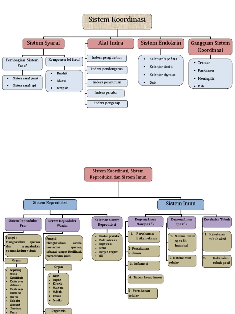 Mind Map Sistem Koordinasi, Reproduksi Dan Imun Aura - 2008076089 | PDF