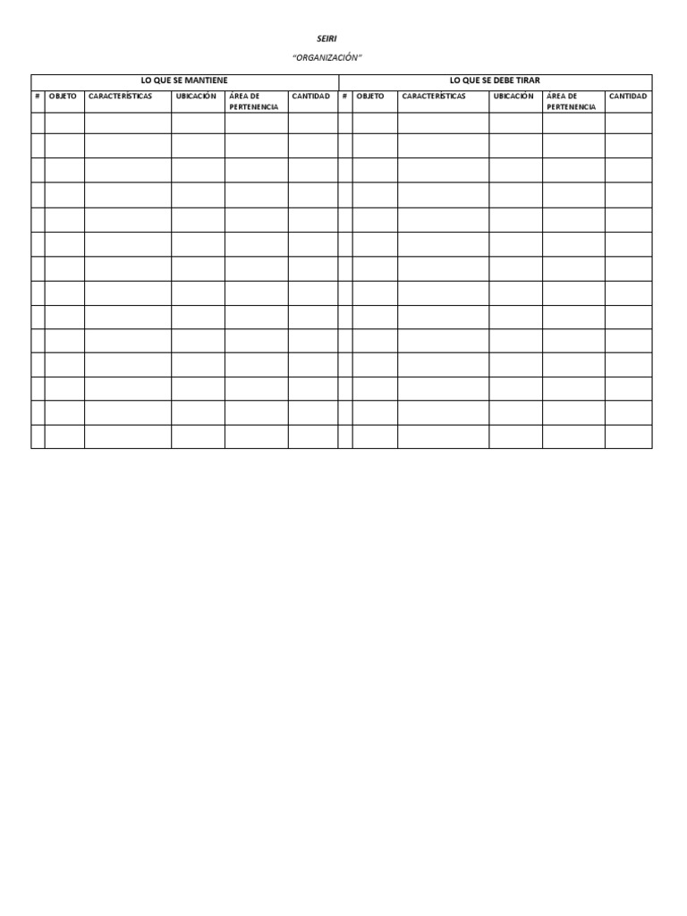 Formato Seiri | PDF