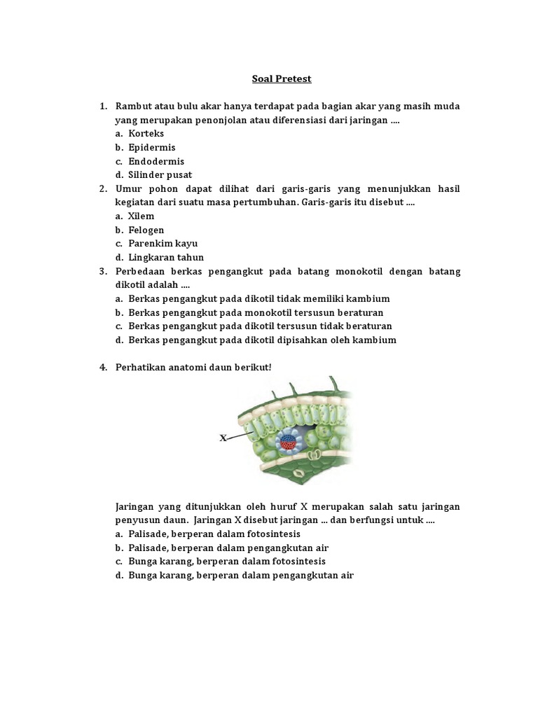Soal Pretest Dan Posttest | PDF
