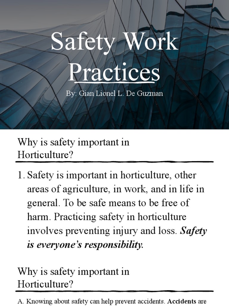 Safety Work Practices - GIAN | PDF | Personal Protective Equipment | Safety
