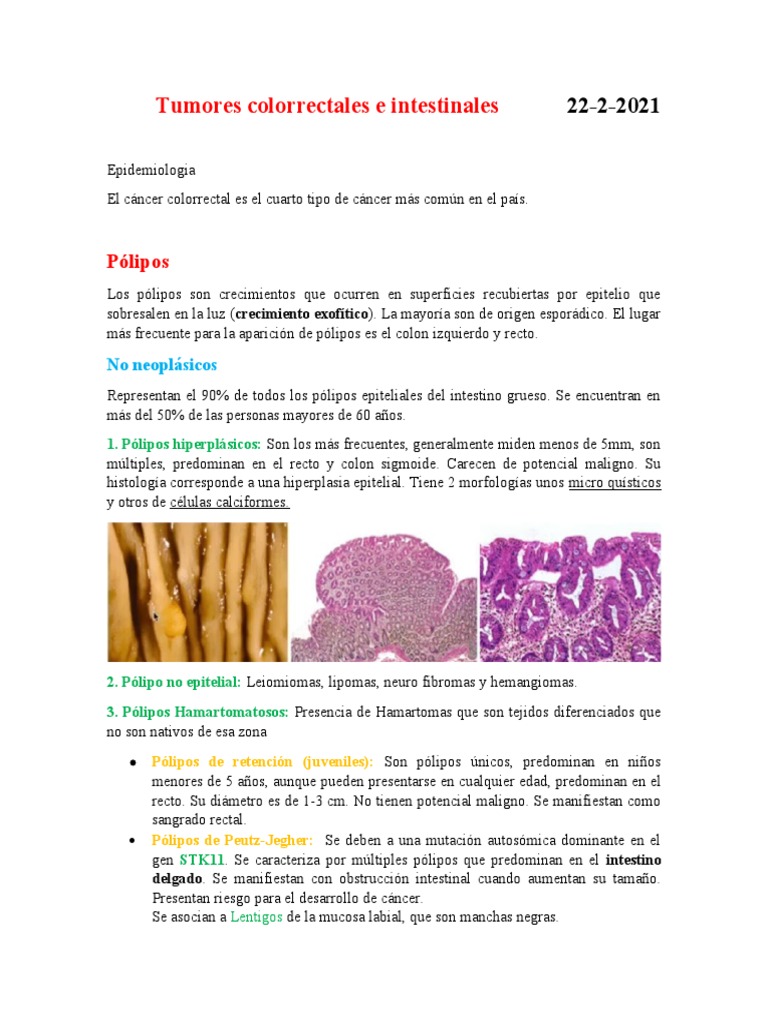 Tumores Colorrectales e Intestinales | PDF | Cáncer colonrectal ...