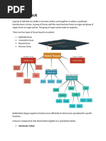 Class 9th Animal Tissue Notes | PDF | Epithelium | Muscle