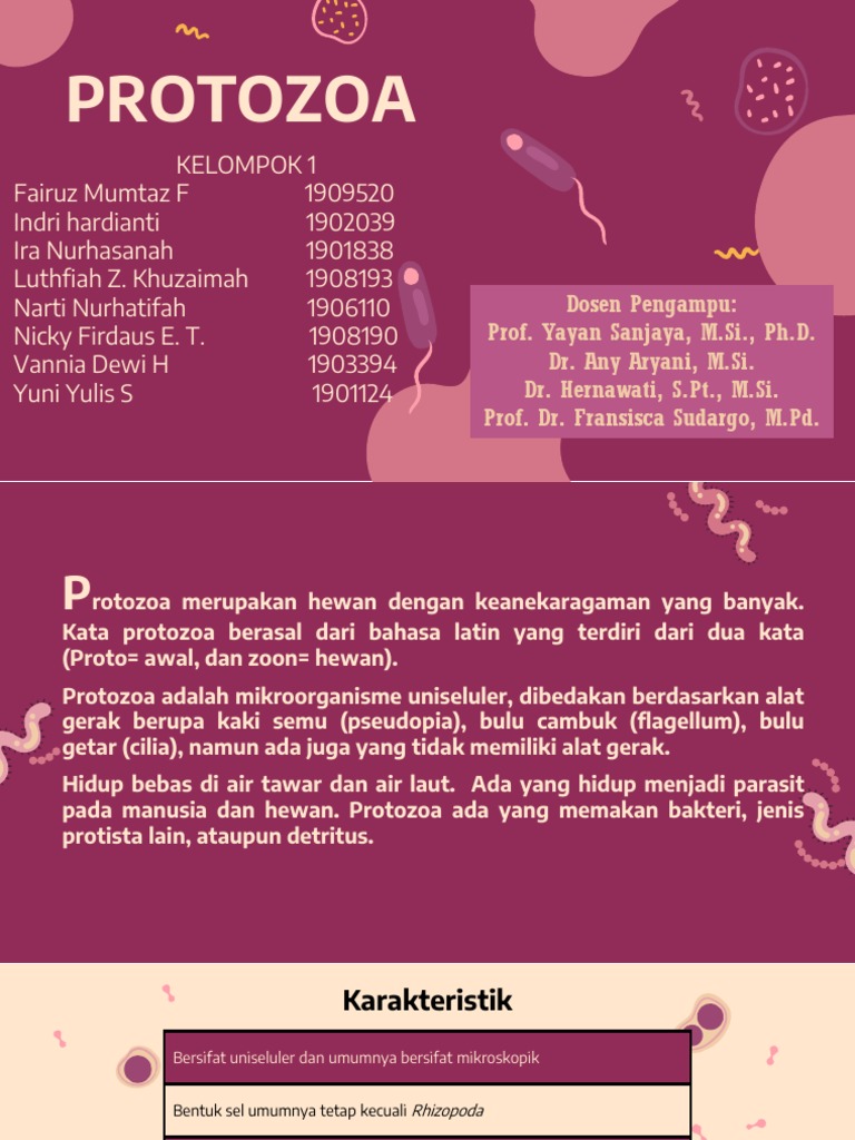 KEL1 PPT Protozoa | PDF