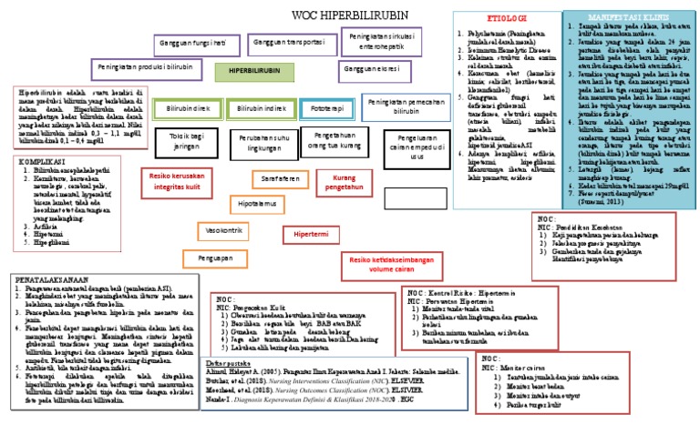 Woc Hiperbilirubin Anak | PDF