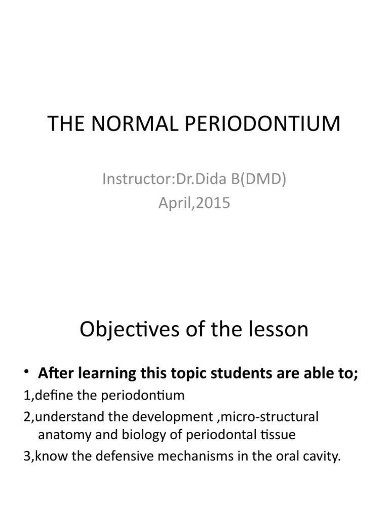 The Normal Periodontium | PDF | Epithelium | Periodontology