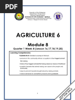 TLE 6 Agriculture Summative Test | PDF | Trees | Plants