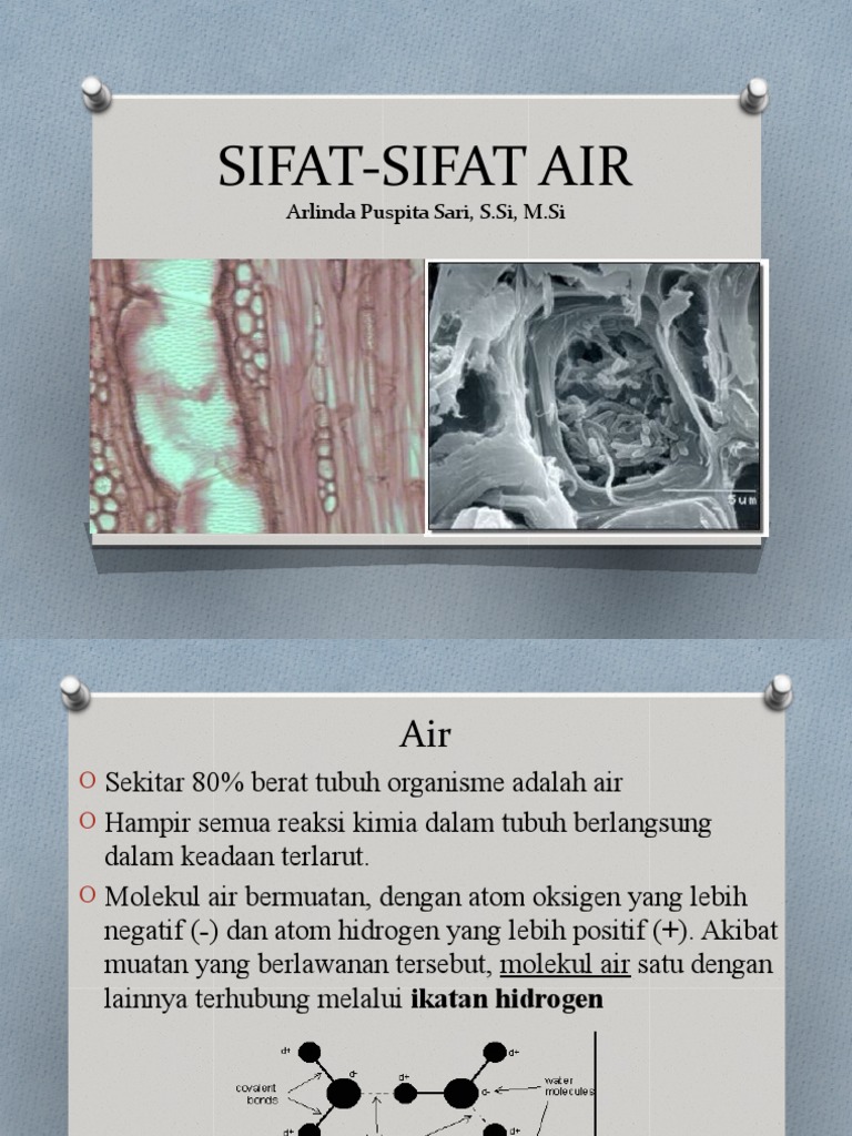 Sifat-Sifat Air | PDF
