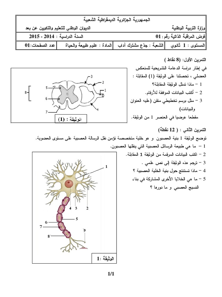 K12345 | PDF