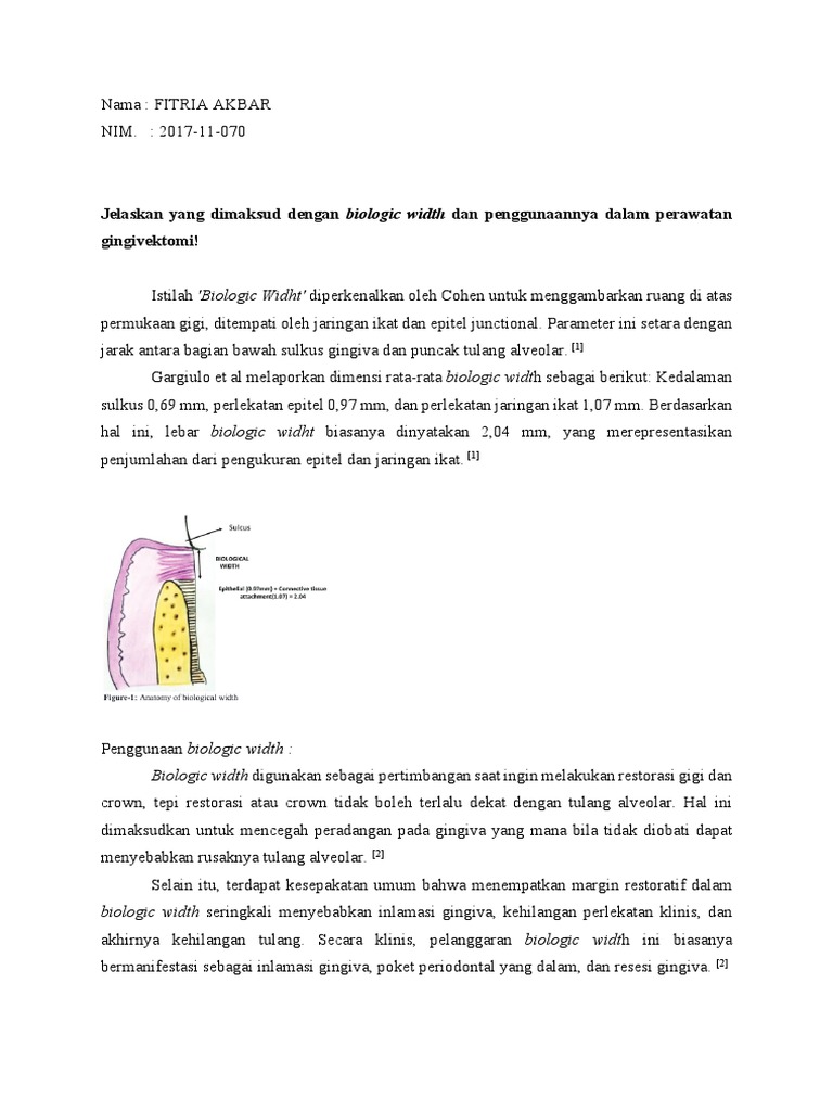 Biological Width | PDF