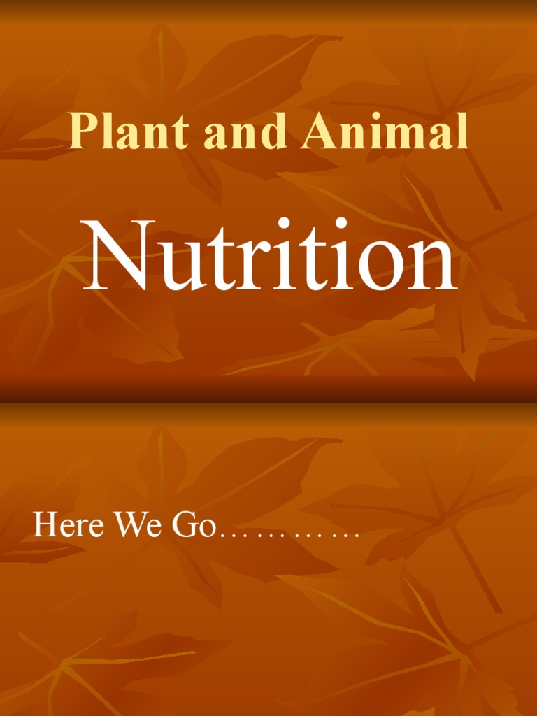 Week 3 - Plant and Animal Nutrition | PDF | Nutrients | Plants