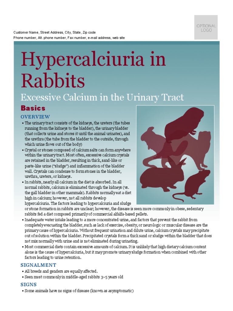 Hypercalciuria in Rabbits | PDF | Urinary Bladder | Urine