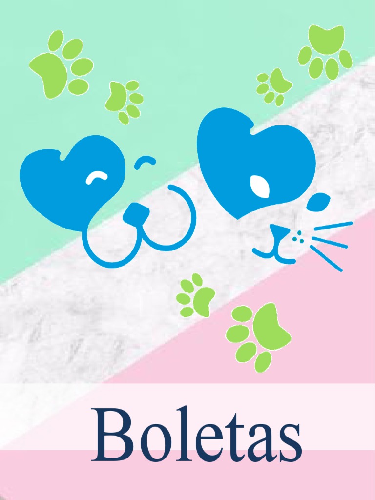 Boleta Veterinario | PDF | Bienestar | Medicina