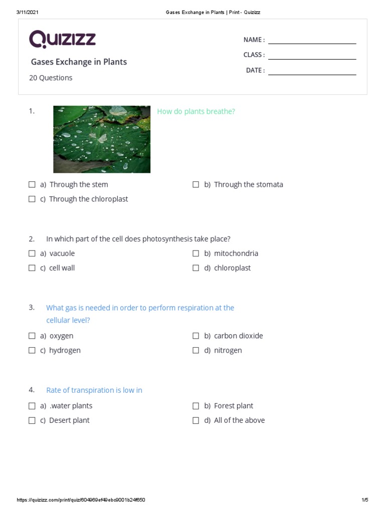 Gaseous Exchange in Plants Quiz | PDF | Stoma | Osmosis