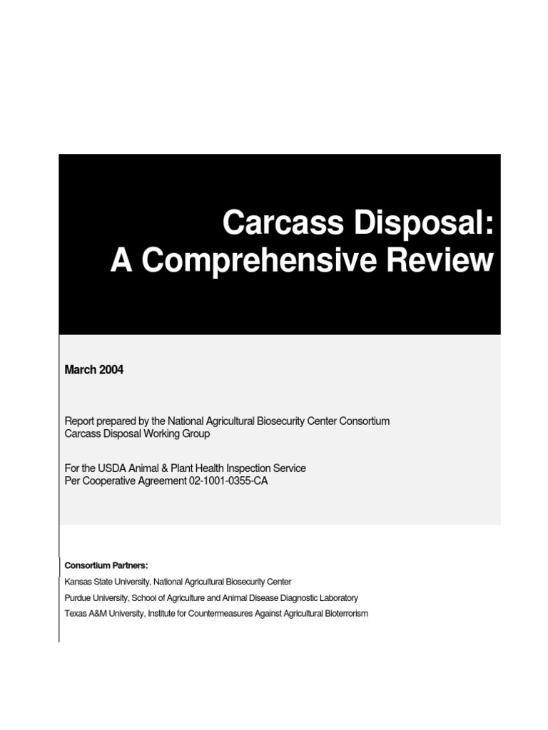 Draft Report | PDF | Waste Management | Landfill