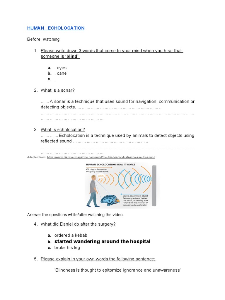 Human Echolocation: A. - Eyes B. - Cane C. | PDF | Visual Impairment ...