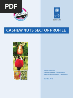 Cashew Value Chain | PDF | Juice | Diet & Nutrition