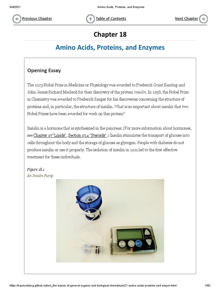 Amino Acids, Proteins, and Enzymes | PDF | Proteins | Amino Acid