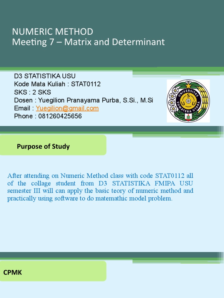 Micro Teaching Matrix and Determinant by Yuegilion | PDF | Determinant ...